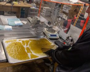How to Consume Live Resin and What Makes it Different